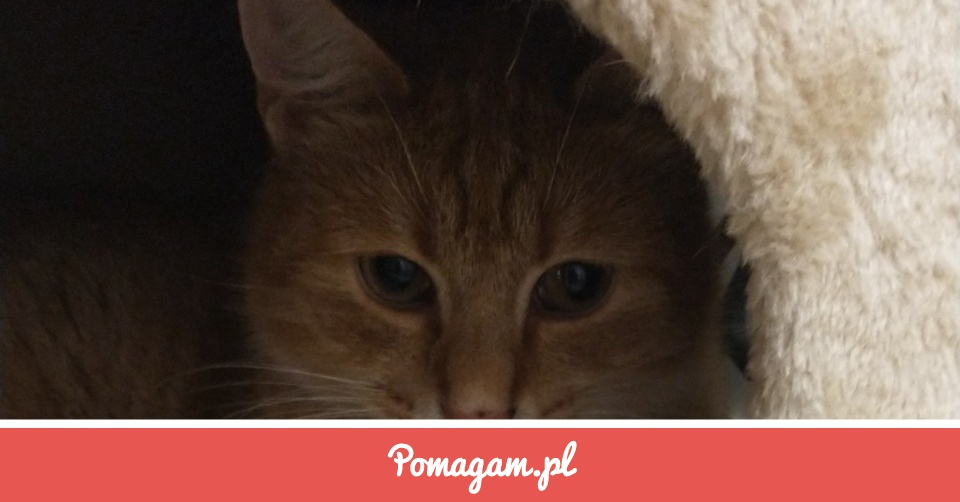 Zrzutka na Mrunia wymiotuje z krwią - Jacek Barczak | Pomagam.pl