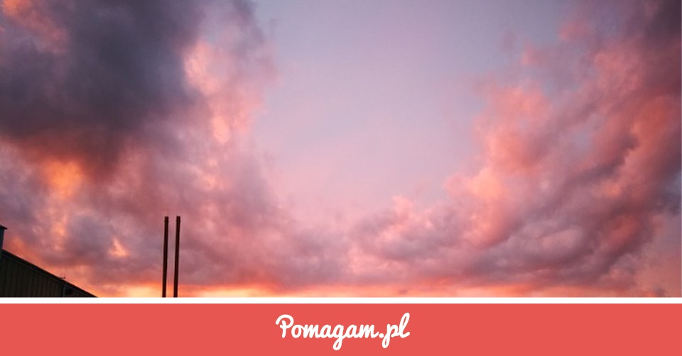 Zrzutka na Zbieram na Jedzenie... - Paulina Kowalska | Pomagam.pl