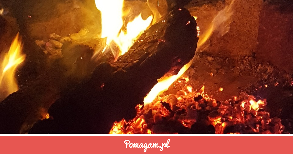 Zrzutka na Dla Szymona Hołowni dla Polski - Robert Komar | Pomagam.pl