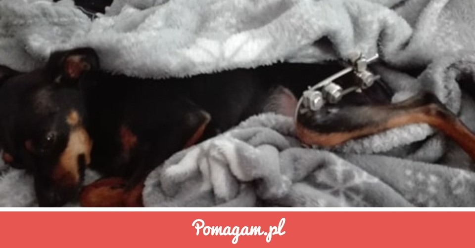 Zrzutka na Operacja Niki - Karolina K | Pomagam.pl