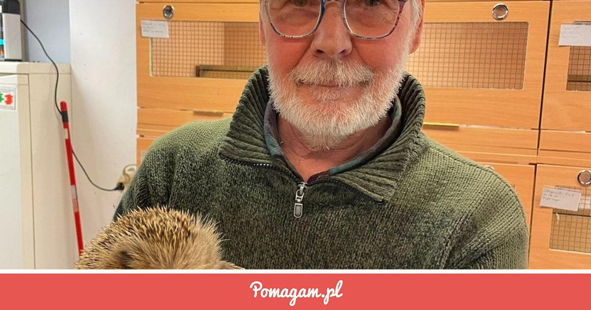 Zrzutka na Jerzy dla Jeży - Monika Machnacka | Pomagam.pl