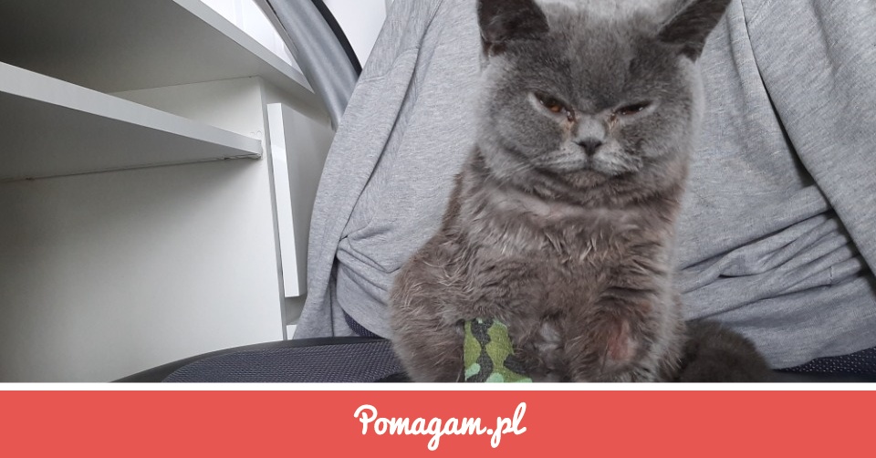 Zrzutka na Milka ma tylko 9 miesięcy - Mariusz Zalewski | Pomagam.pl