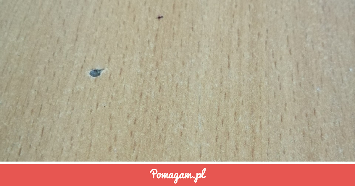 Zrzutka na Bieda Kierwa - Jacob Stains | Pomagam.pl