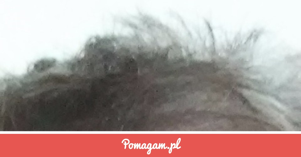 Zrzutka na Zbieram na wymazony dom dla dzie - Dawid Kozlowski | Pomagam.pl