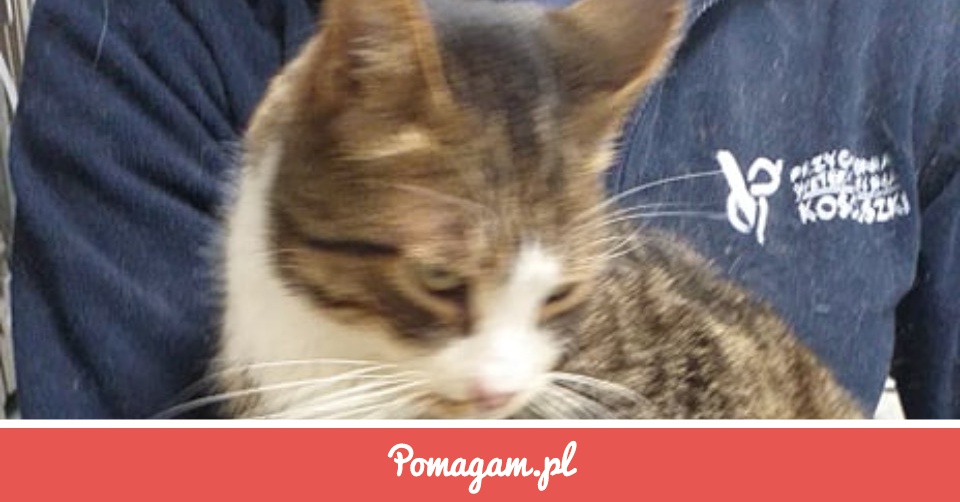 Zrzutka na Filo, historia o bezdomności - Jacek Barczak | Pomagam.pl