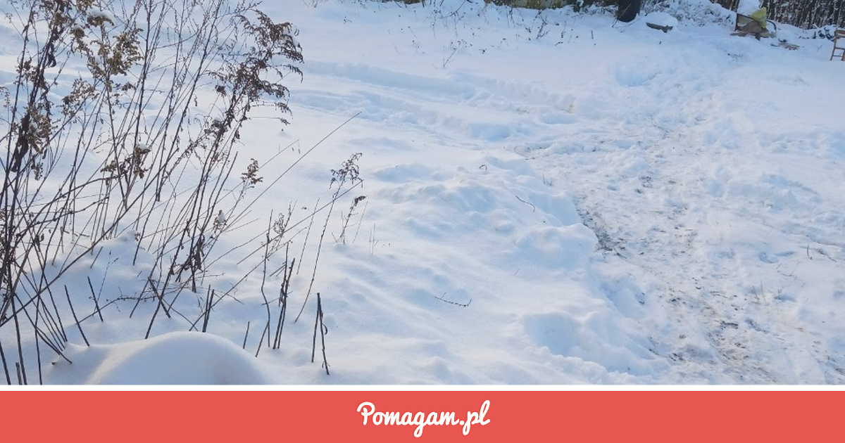 Zrzutka na Schronienie przed Zimą - Piotrek Kowalski | Pomagam.pl