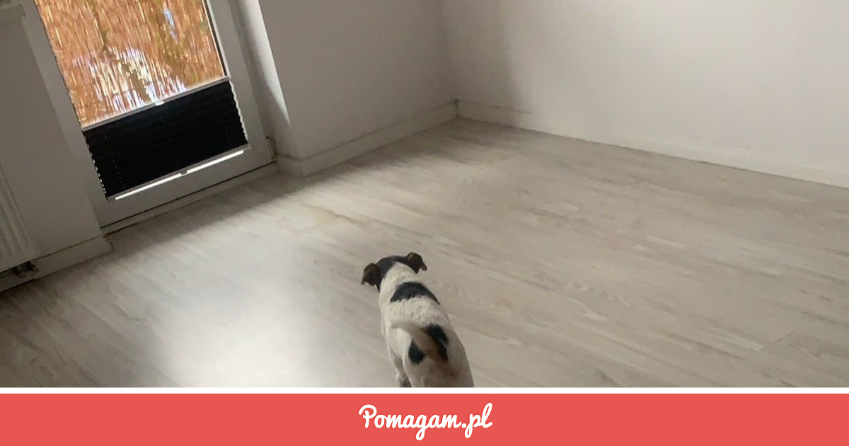 Zrzutka na Uratujmy Mieszkanie Cioci - Martyna Ramczykowska | Pomagam.pl