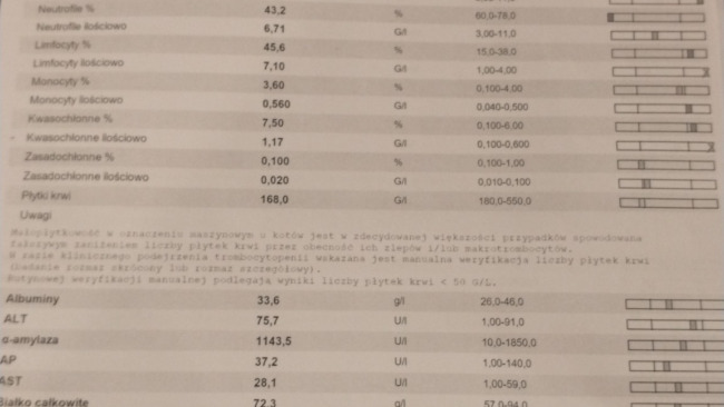 Zrzutka na Mrunia Wymiotuje z Krwią - Jacek Barczak | Pomagam.pl